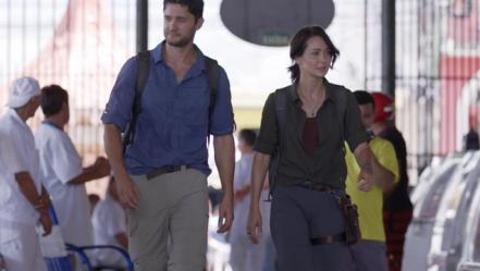 Discovery Channel Shows and Articles | Discovery